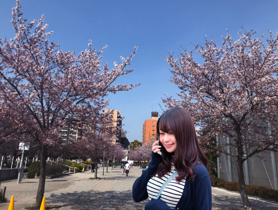 お正月三ヶ日にしないほうがいいこと | Imoan-works